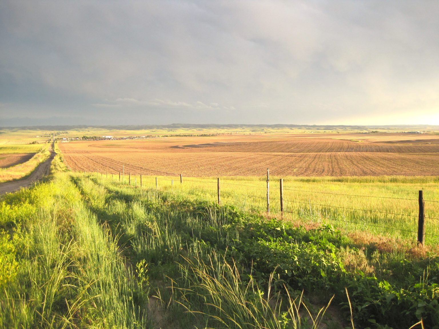 Storymaps - Native Land Information System
