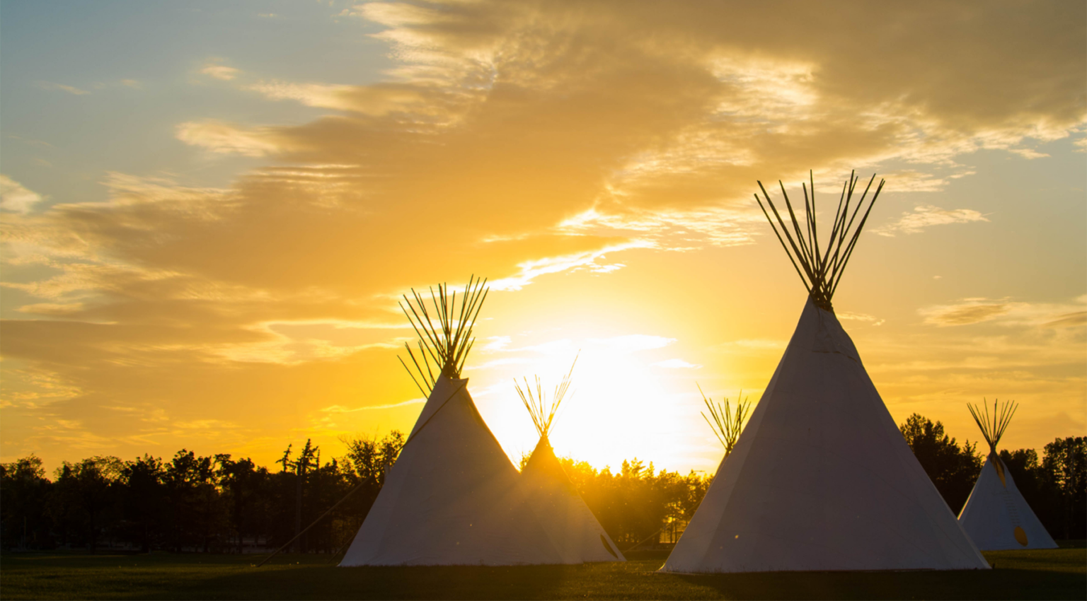 The Status of Native Lands - Native Land Information System