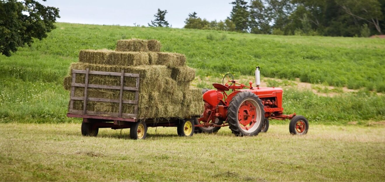 Home | Native Land Information System - Native Land Information System