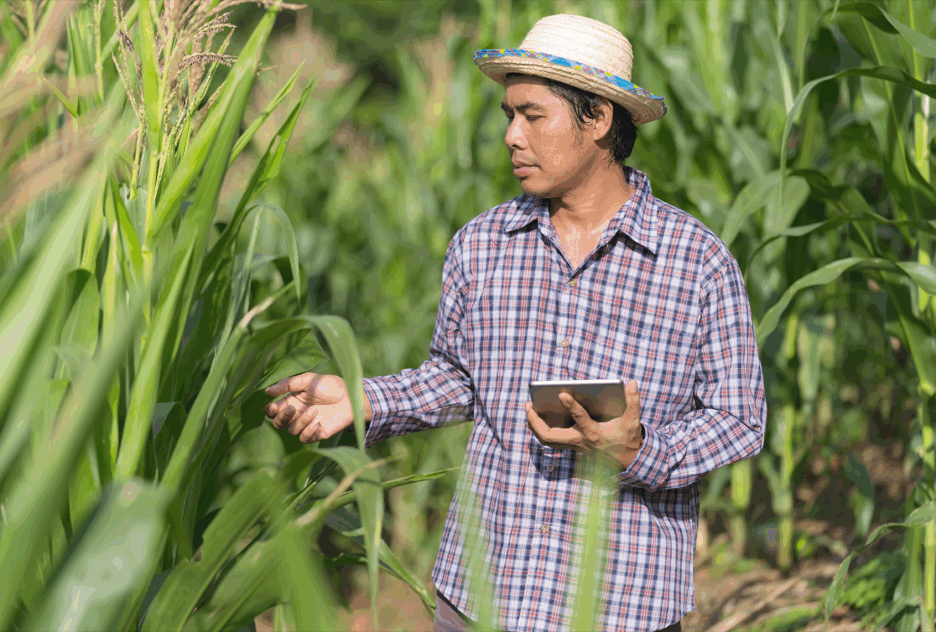 The Status of Native Lands – Native Land Information System